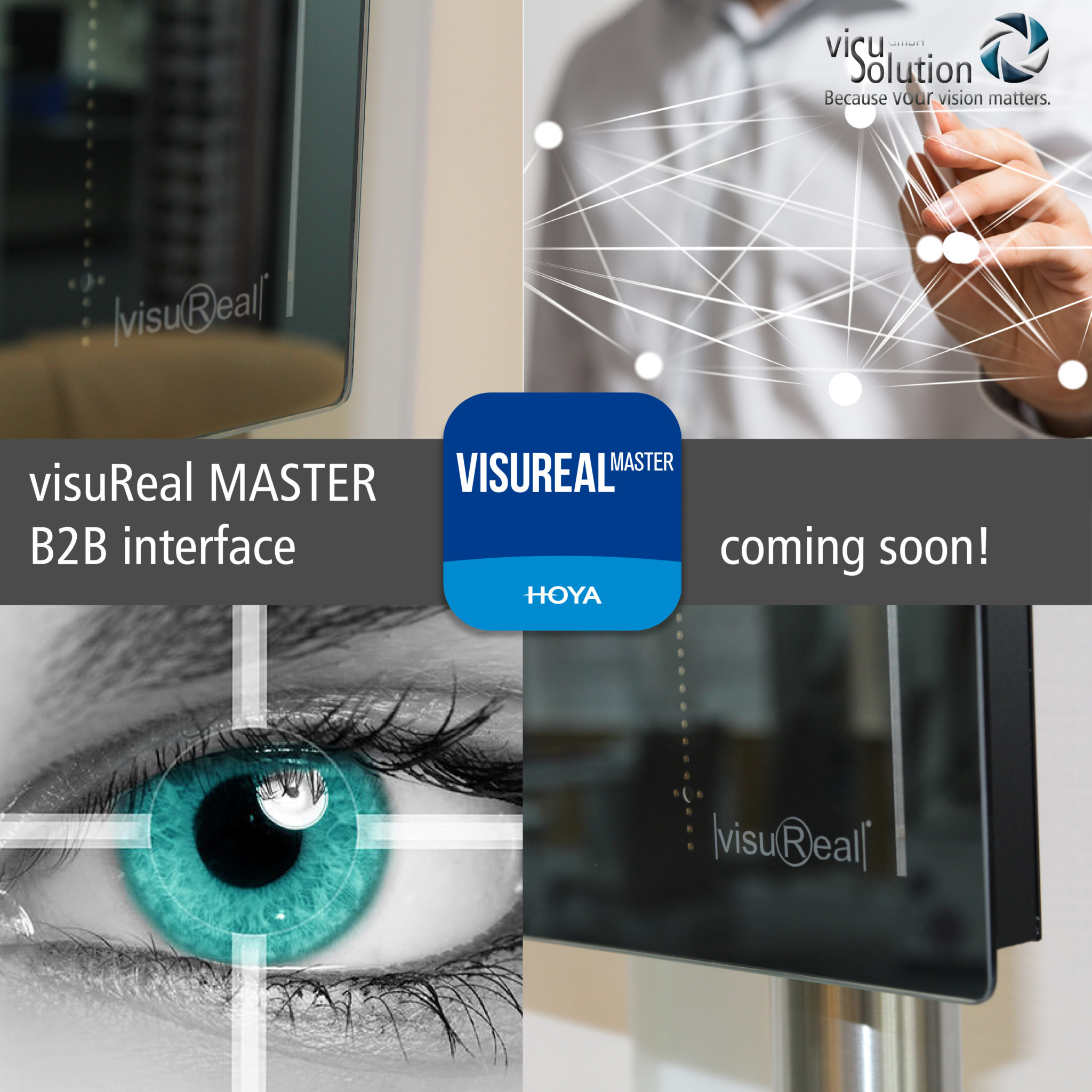 visuReal Master B2B interface - visuSolution GmbH